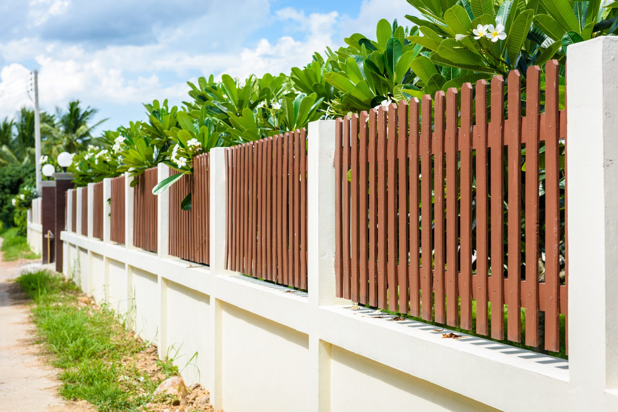Eco-Friendly Wood Fencing: Sustainable Choices for Modern Designs | Big ...